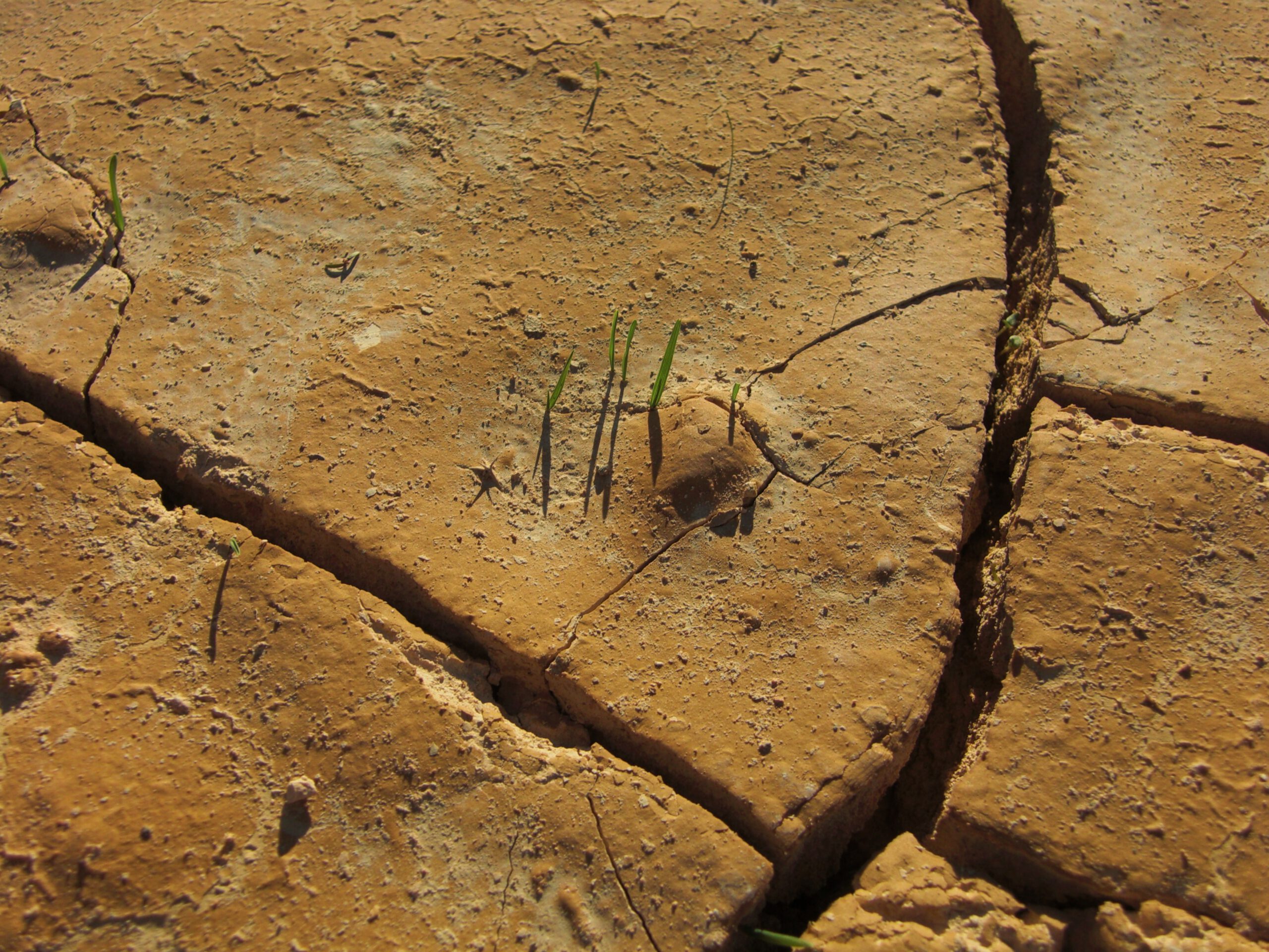 Local Content Requirements - 10 Goldene Regeln